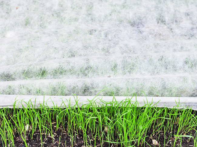 eSUN Fiber - PLA Fiber and Non-woven Fabric Manufacturer